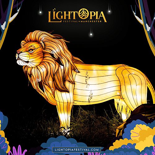 Carousel | Lightopia Festival